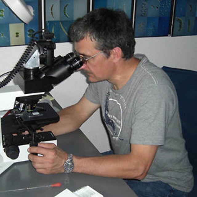 Gerd A. Guenther