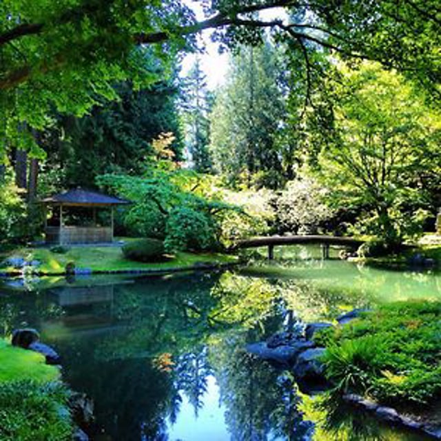 Kathryn Kelly-Fearon