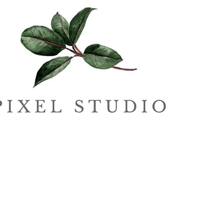 Pixel Studio Productions