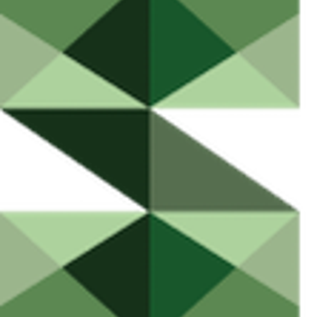 The Soloviev Foundation