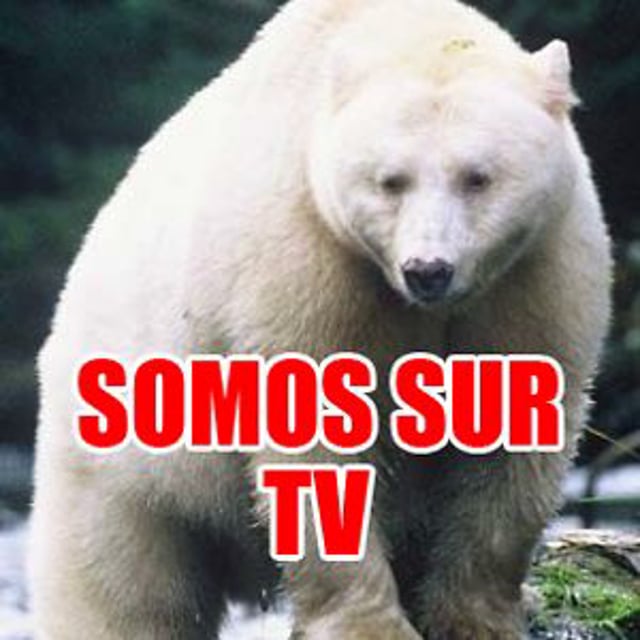 COCO DAVID PALA RABANIANI