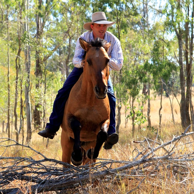 Guy McLean Horsemanship