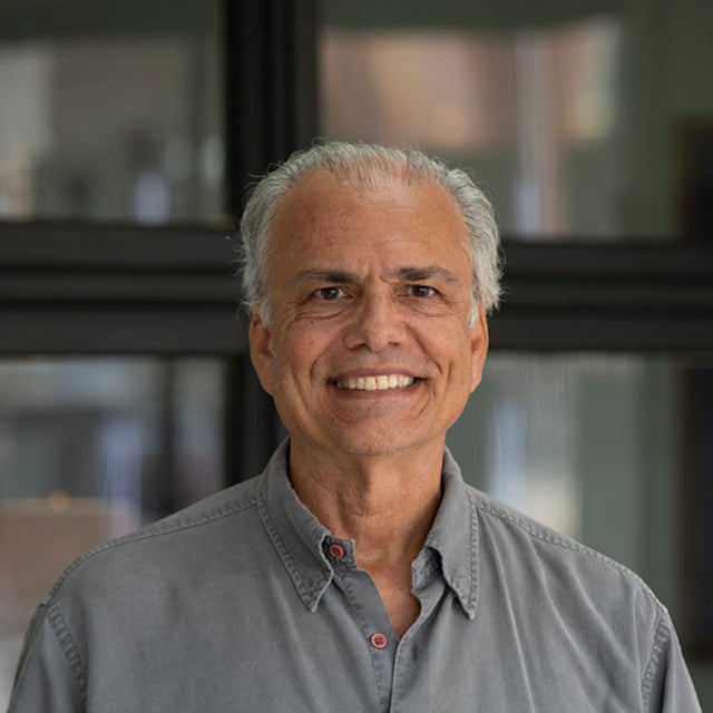 Lucio Martins Rodrigues