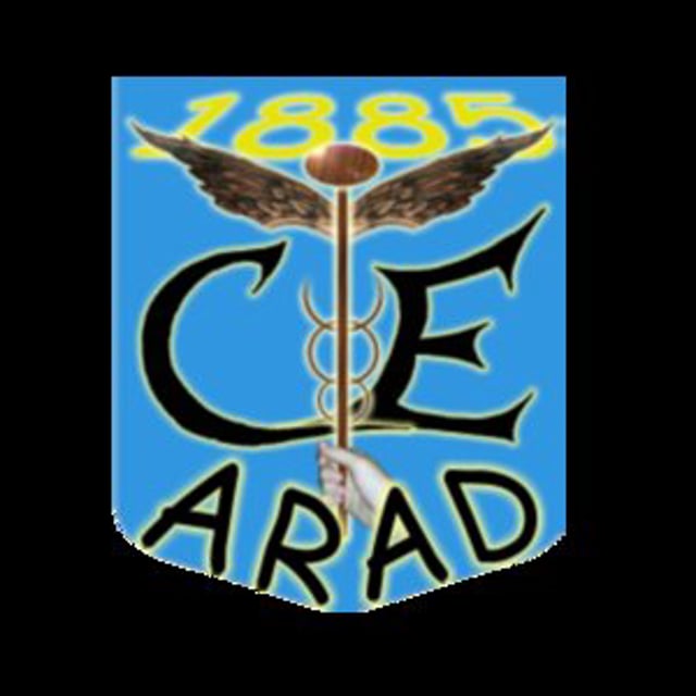 Colegiul Economic Arad