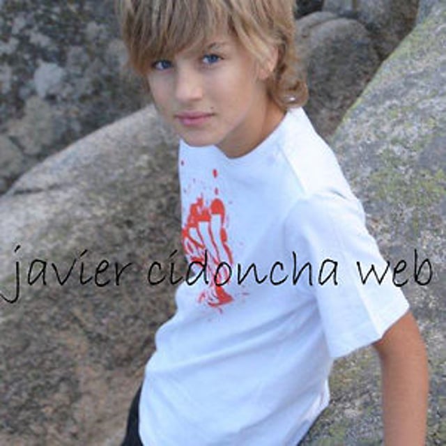 javier cidoncha web