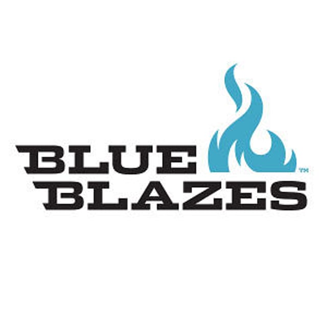 Blue Blazes, LLC