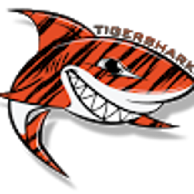 Tiger Shark Plays Roblox