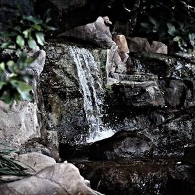 Alex Hauck Photography