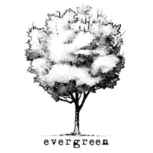 evergreen film - Filmmaker, Cinematographer & Artist