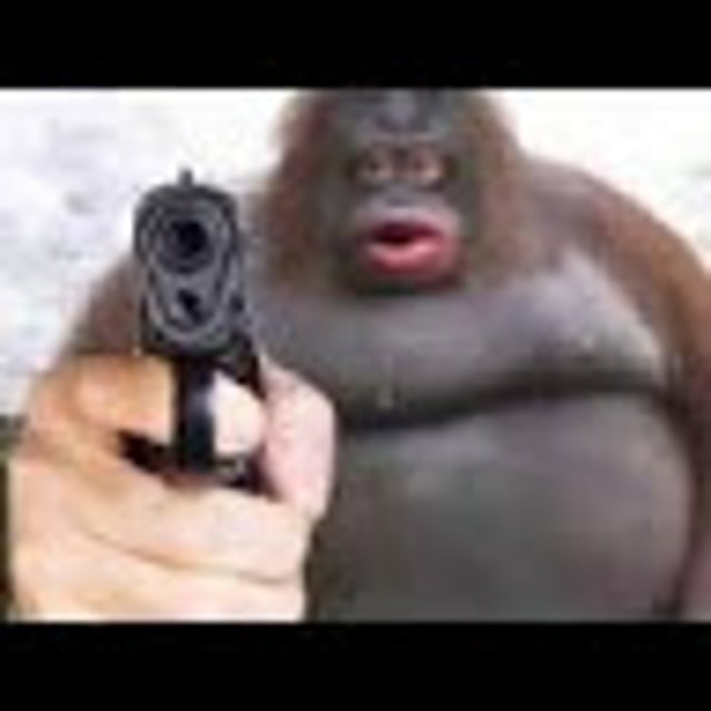 Le Monke