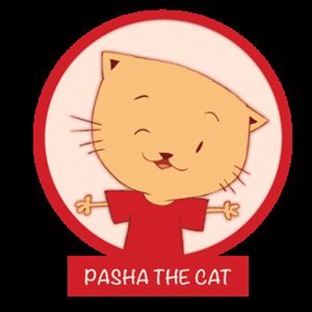 Pasha The Cat