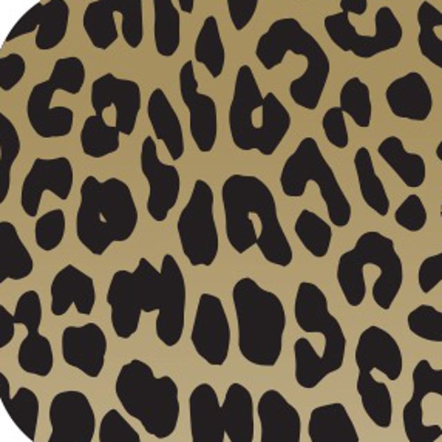 Dancesport Kingdom - Choreographer & Dancer