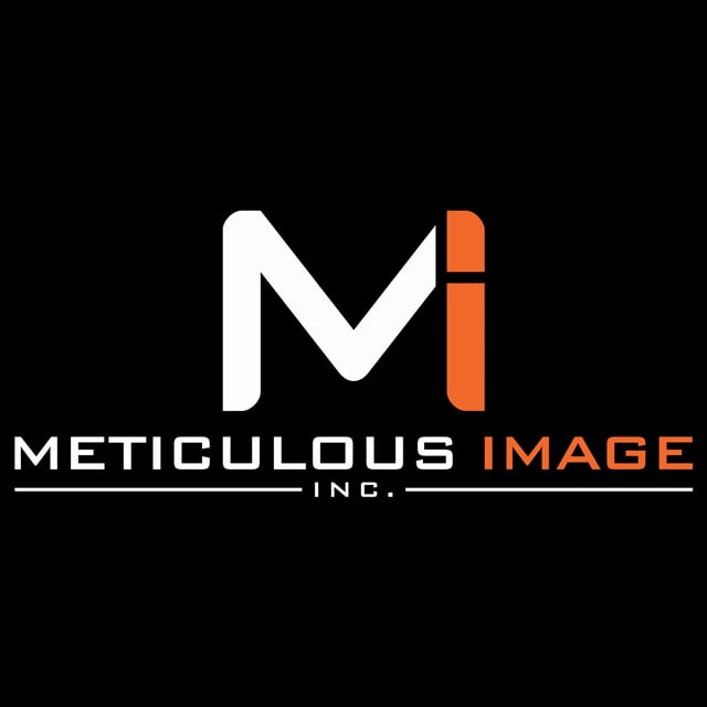 Meticulous Image