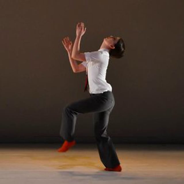 SUNY Purchase Video Dance