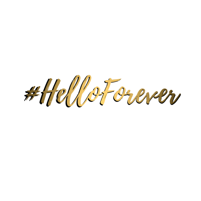 Hello Forever Studio - Video Editor, Director of Photography (DP ...