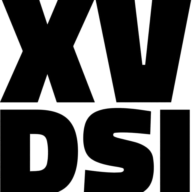 XV DSI
