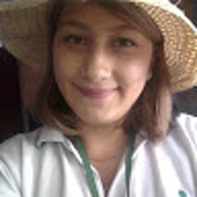 DENCY LLILIANA PINEDA GAVIRIA