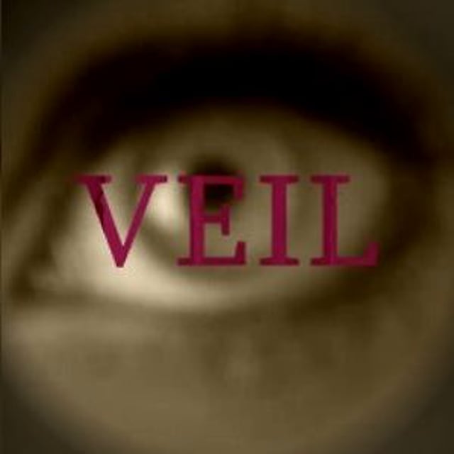 VEIL