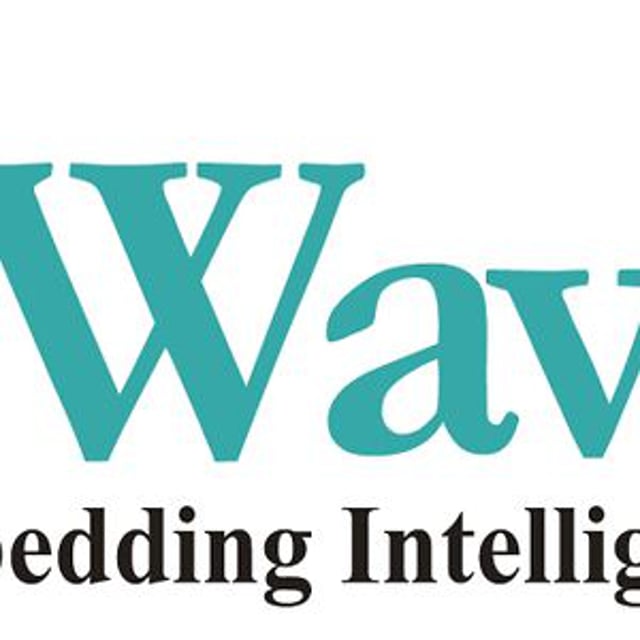 iWave Systems Technologies