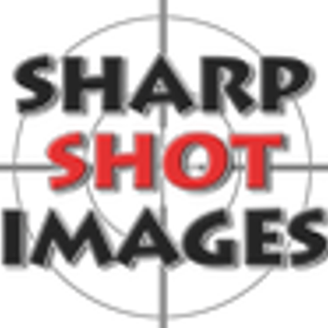 Sharp Shot Images