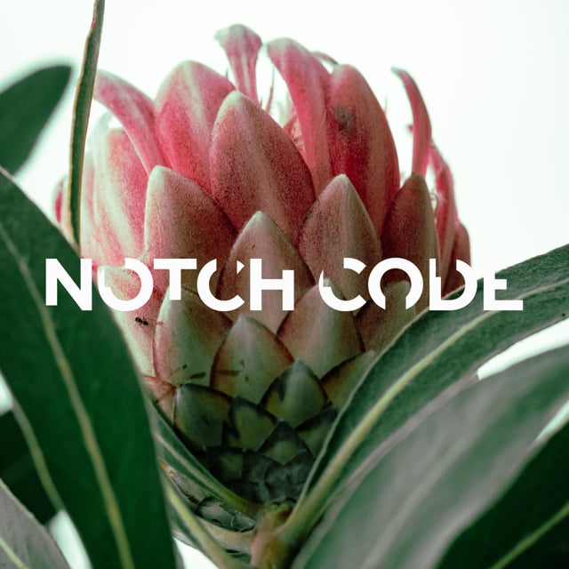 notch code