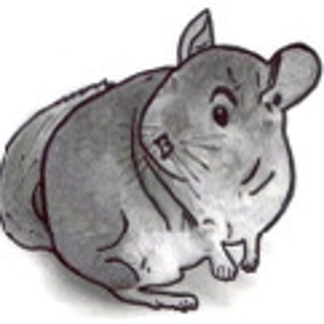 Chinchilla Life Sciences