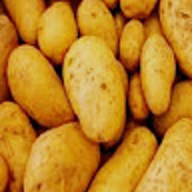 The Enormous Potato