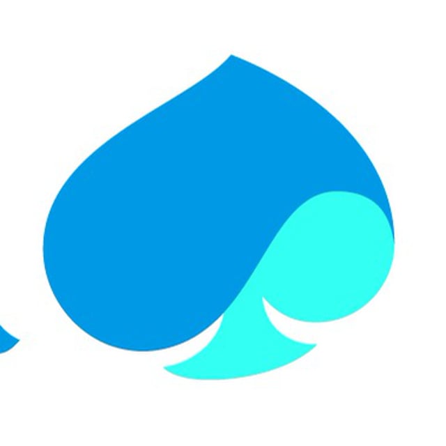 Capgemini Engineering France