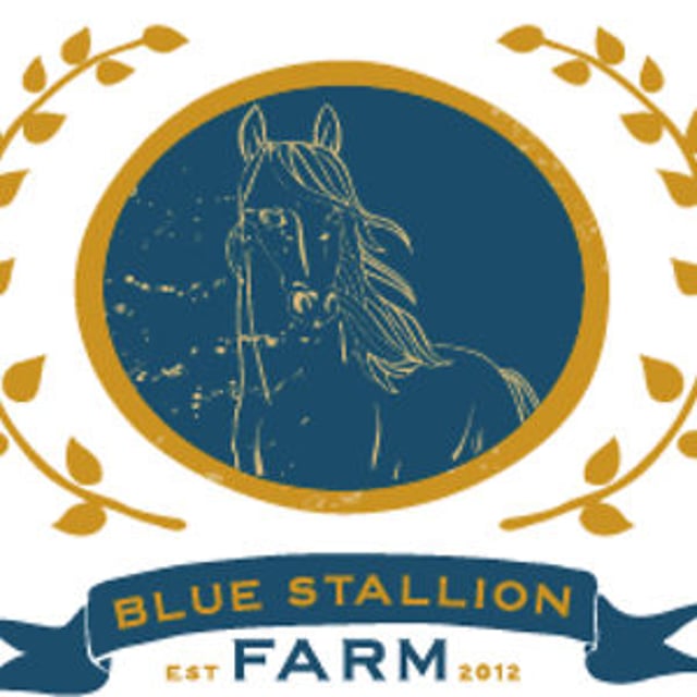 Blue Stallion Farm