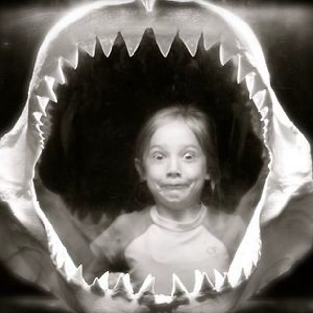 Parkerson Family Films
