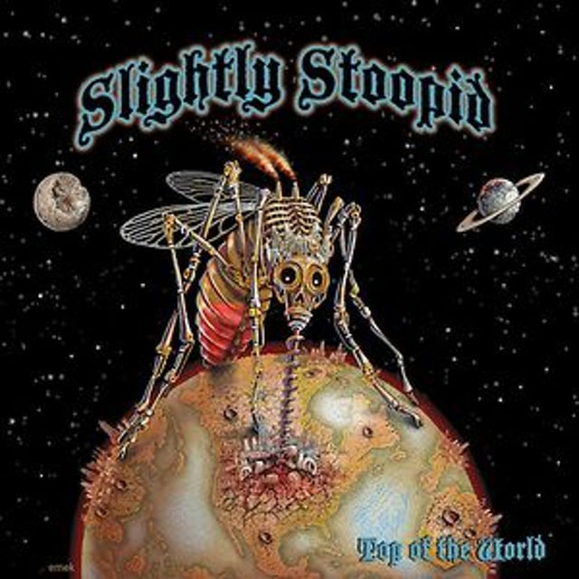 Slightly Stoopid