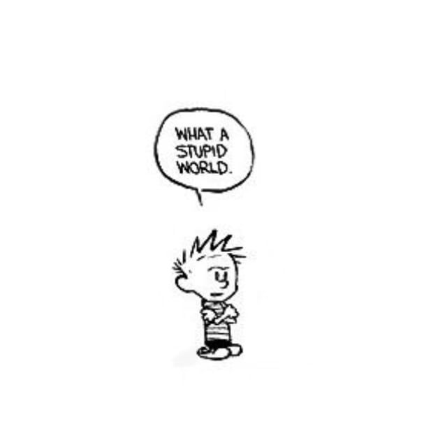 Stupid World