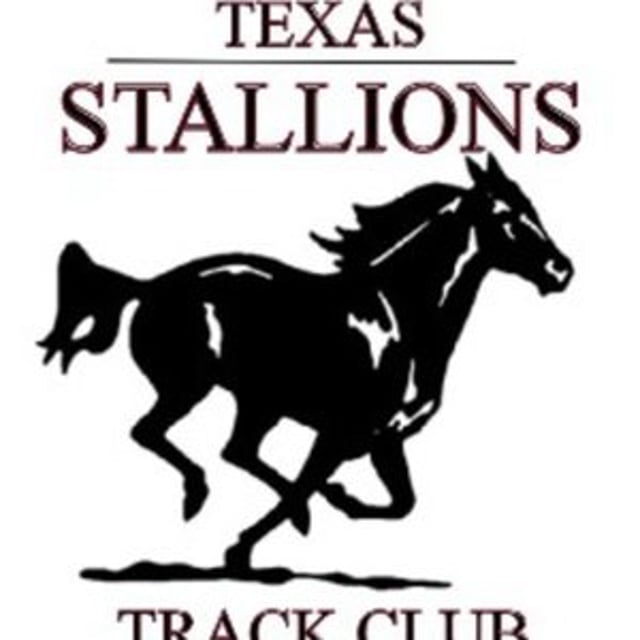 Texas Stallions