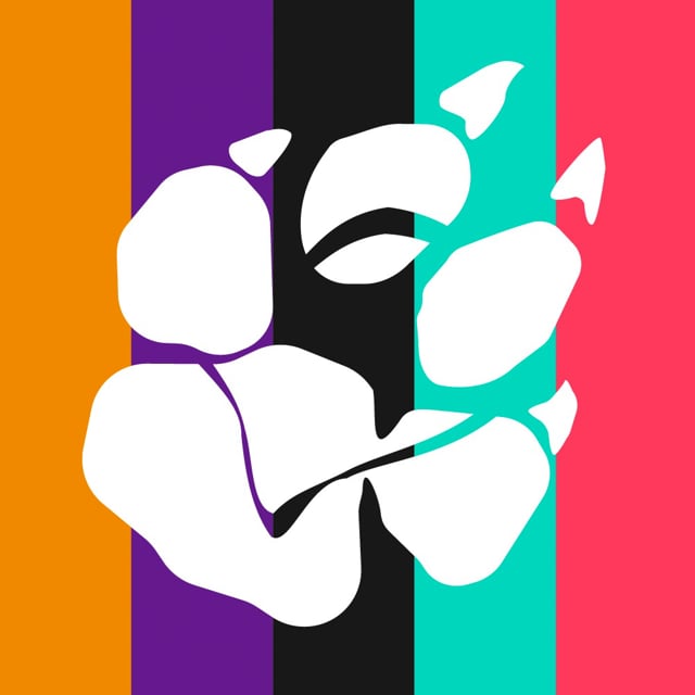 Wolf Team - Creative Director & Motion Graphic Designer