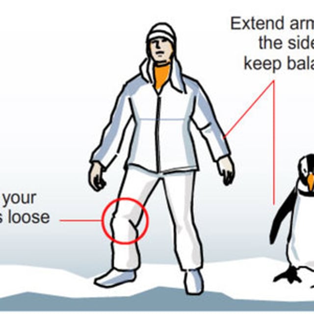 Walk Like A Penguin Productions