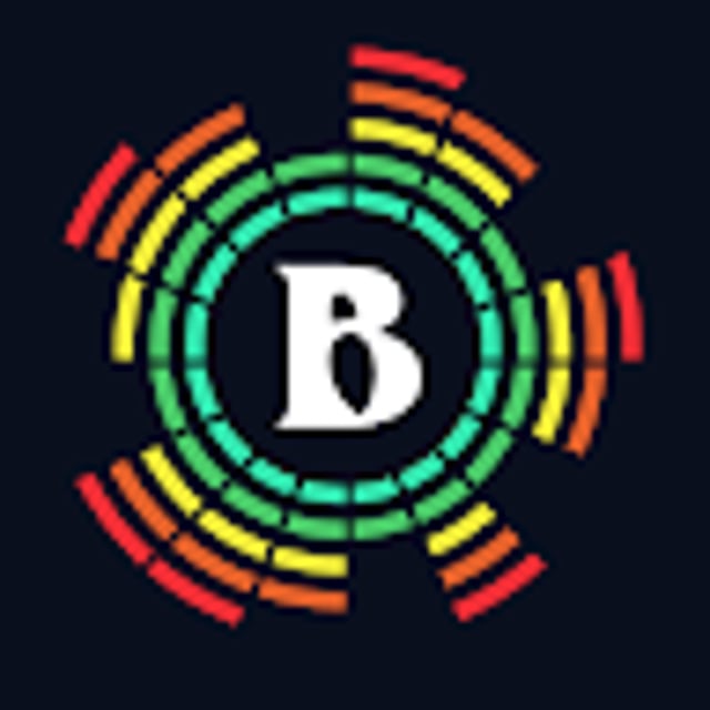 Bostick Family Light Show