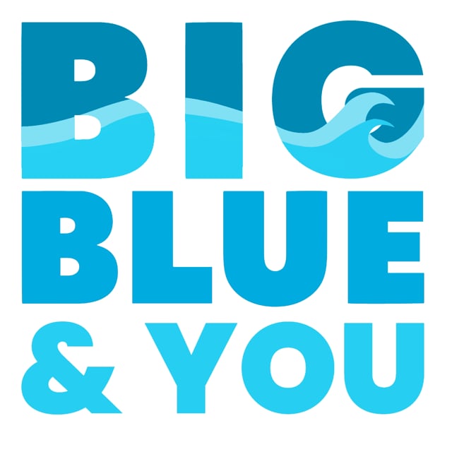 Big Blue and You