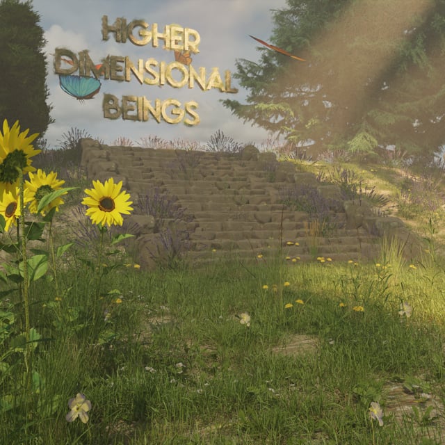 Higher Dimensional Beings