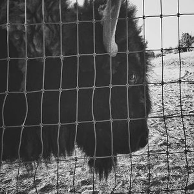 Trevor Conner, Tucker&Rye Prod.