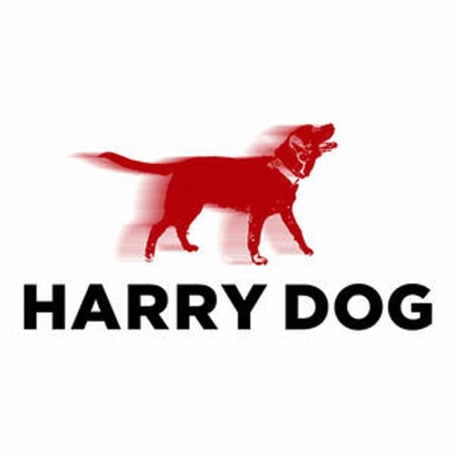 Harry Dog