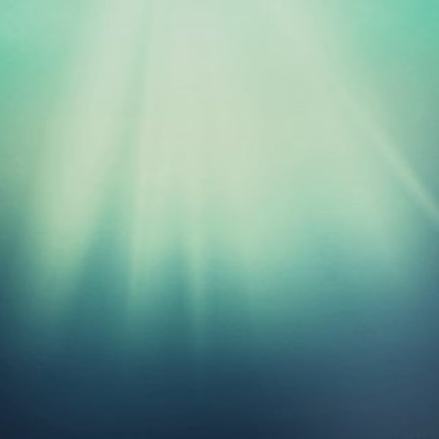 Danny Reams - Editor