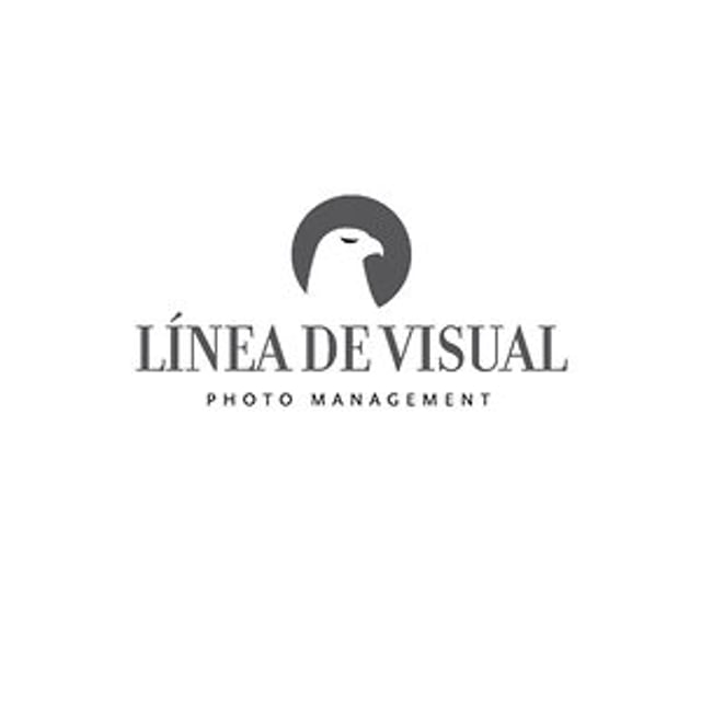 Linea de Vision