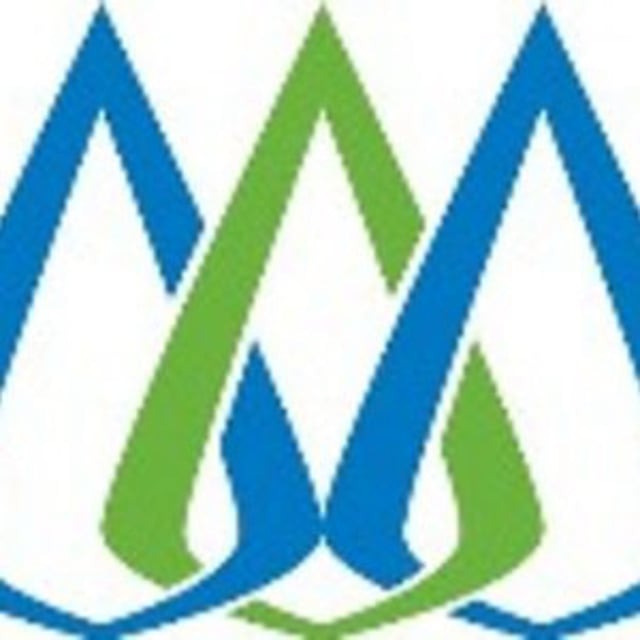 Southern Gas Association