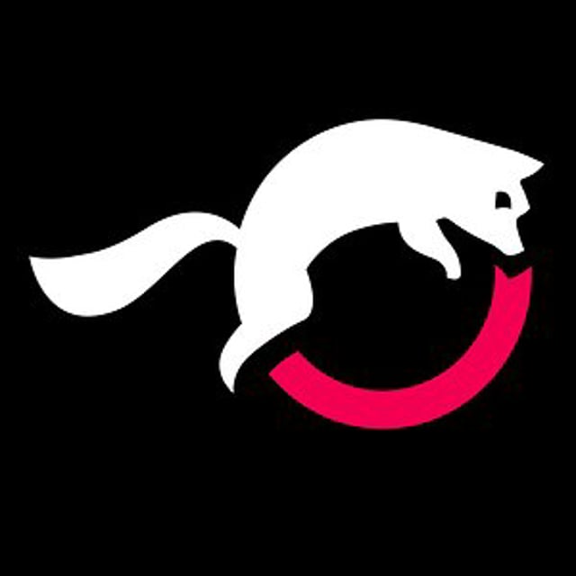 Arctic Fox Studios Asia