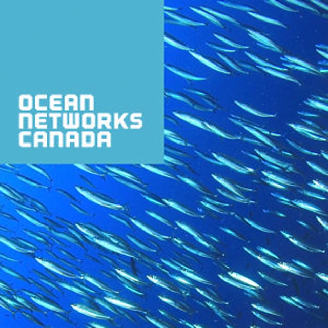 Ocean Networks Canada