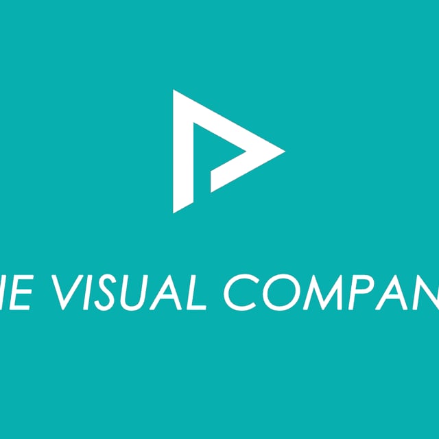 The Visual Company