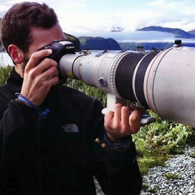 kyle Sauer