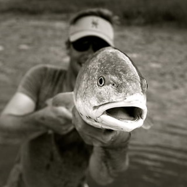 LC Journal - Doug Roland