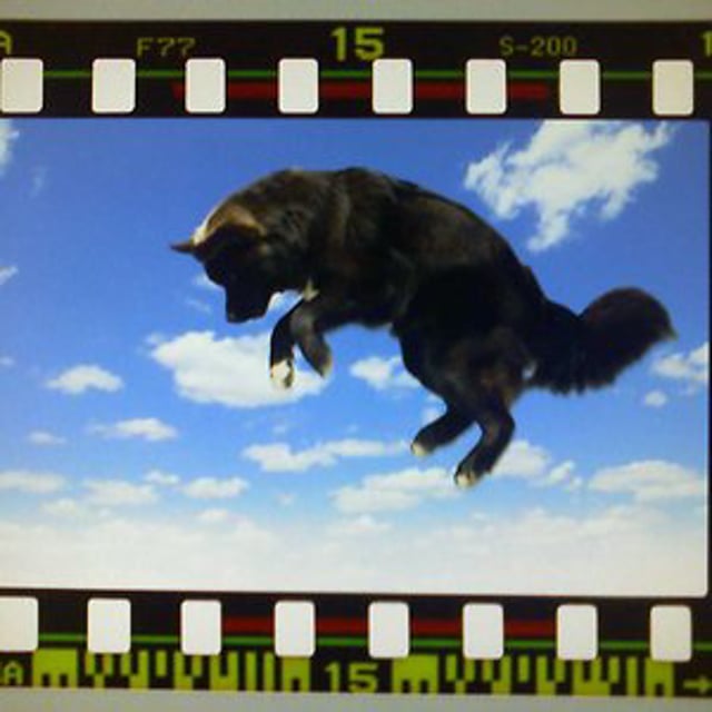 Scott Womack / Hacon Square