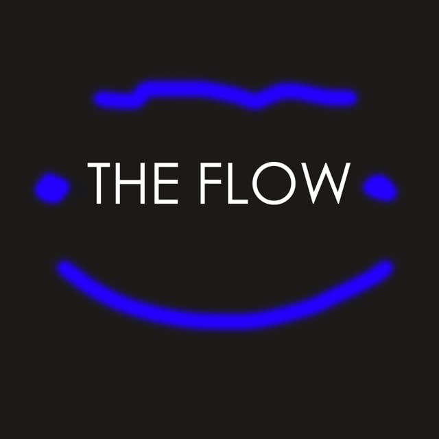 The Flow EX